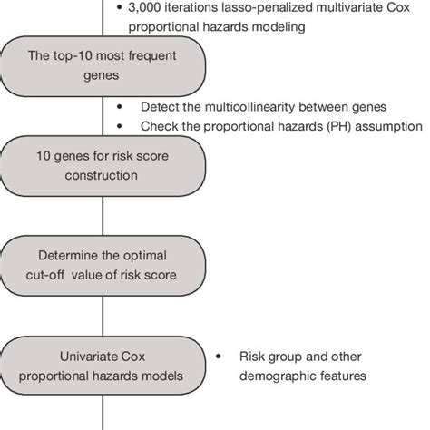 Workflow Of The Data Selection And The Construction Of The Prognostic Download Scientific