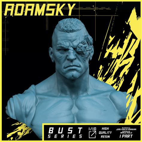 Scientific Models Adamsky Specmod Models