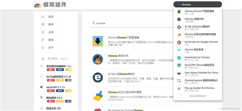 使用chrome浏览器的搜索引擎，谷歌浏览器开启同步功能chrome同步助手 Csdn博客