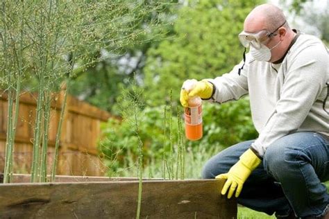 What Is The Difference Between Pesticides And Insecticides Ready To Diy