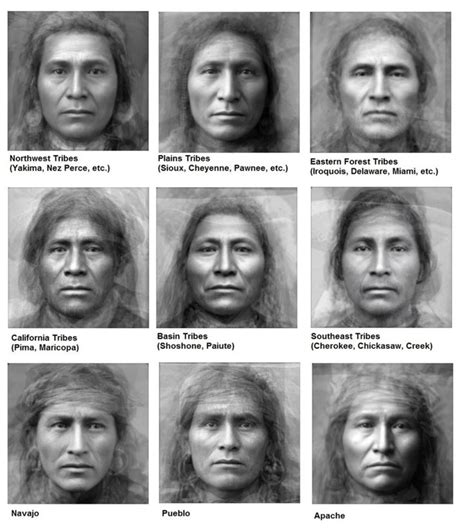 Typical Facial Features American Native | Native american spirituality, Native american pictures ...