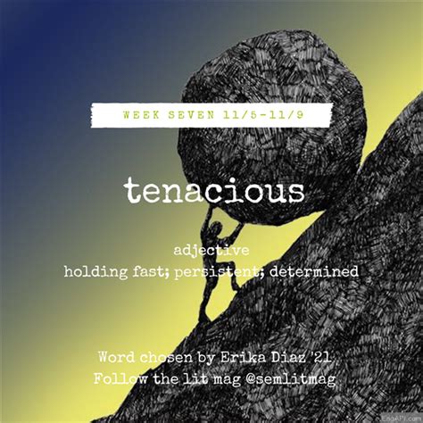单词详解 tenacious 英语接口