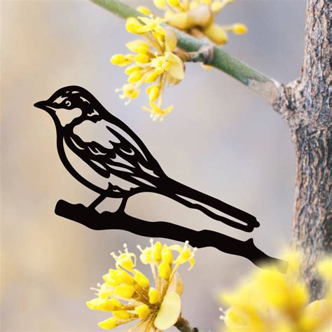 Birds Of A Feather Mockingbird Glory And Steel
