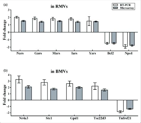 Validation Of The Microarray Data By Quantitative Rt Pcr Results For