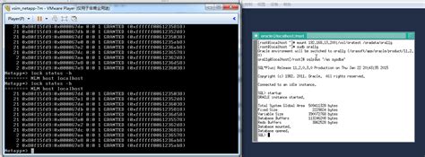nfs lock issue in netapp nas server database and cloud