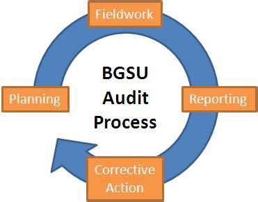 The Audit Process