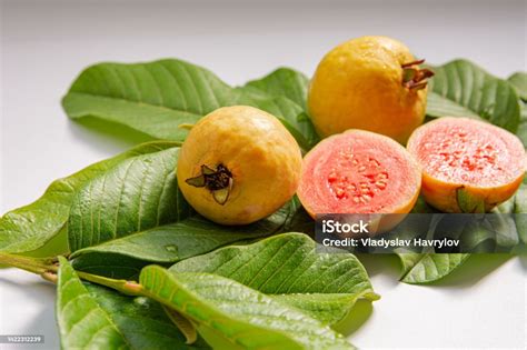 白い背景にグアバの乾燥した黄色の果物と葉 みずみずしいのストックフォトや画像を多数ご用意 みずみずしい アスコルビン酸