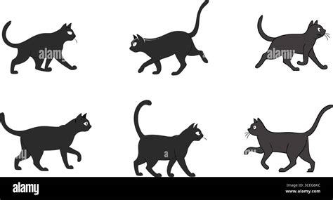 Black Cat Walk Cycle Stock Vector Images Alamy