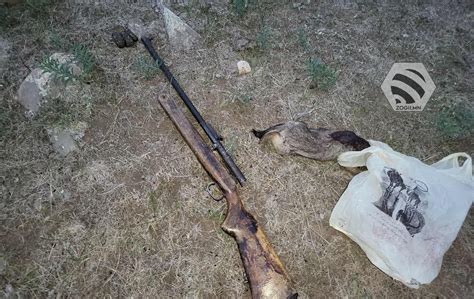 ТӨРХУРАХЫН АМАНД ТАРВАГА АГНАСАН ЗӨРЧЛИЙГ ИЛРҮҮЛЛЭЭ