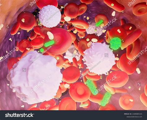 세균 489086개가 넘는 로열티 프리 라이선스 대상 스톡 일러스트 및 그림 Shutterstock