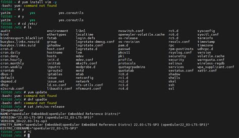 Openeuler Embedded Openeuler Lts Sp Yum