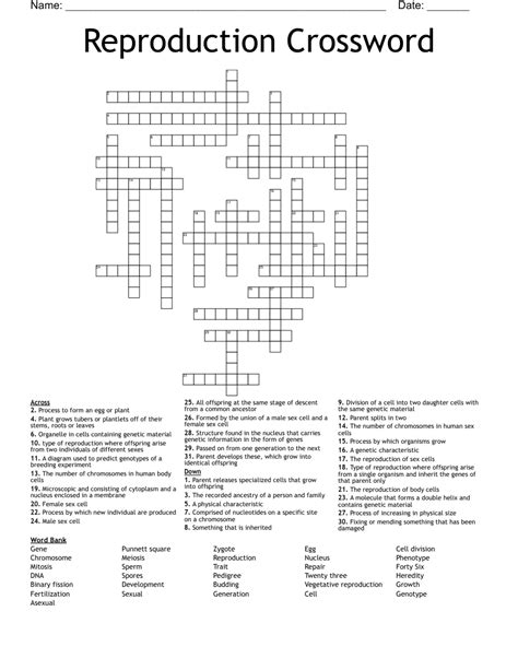 Reproduction Crossword Wordmint