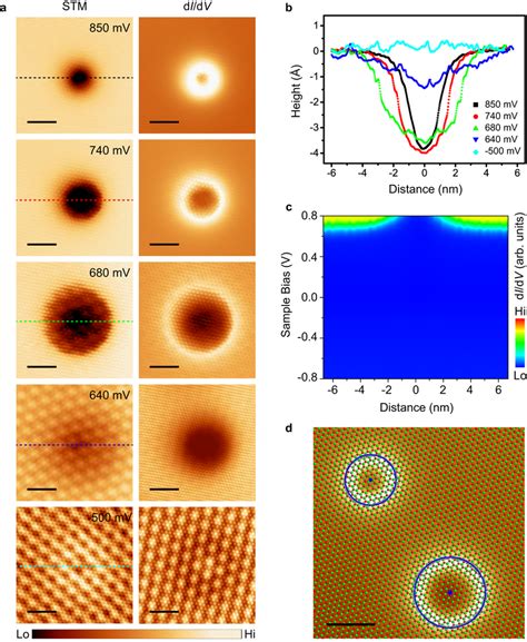 The Bias Dependent Feature Of Polaron In Stm Images A Atomic Resolution