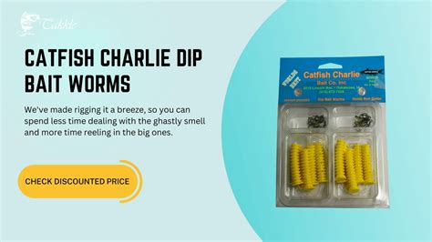 Do You Know About These Best Hooks For Catfish
