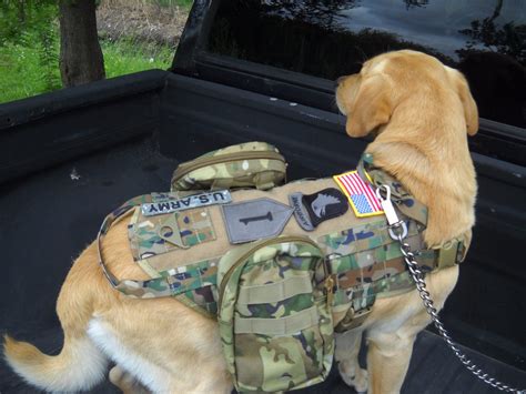 Chaleco Tactico Para Perros K Con Arnes Y Sistema Molle En Mercado Libre