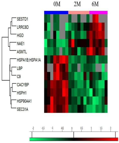Heat Map Illustrating Hierarchical Clusters Of The 12 Differentially