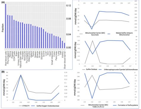 Overview Of The Alteration Of The Microbiome Associated Whole Body