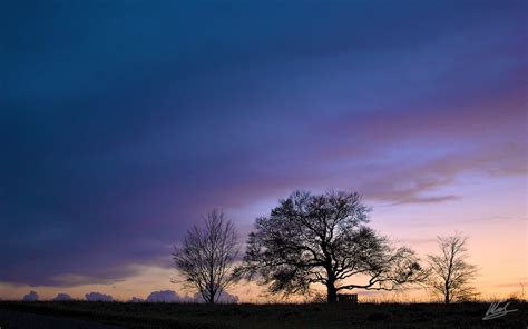 Nature Landscape HD Wallpaper
