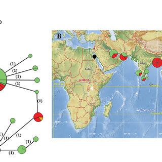 Mismatch Distribution Inferred From Partial MtDNA COI For The Pooled