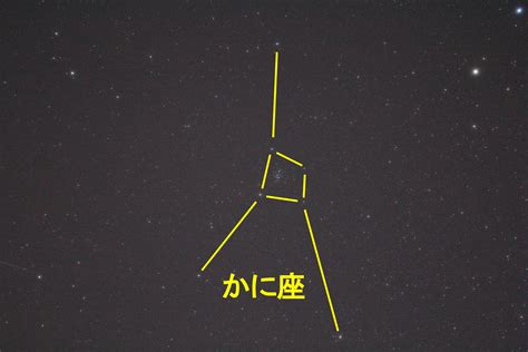 せんだい宇宙館－ギャラリー－
