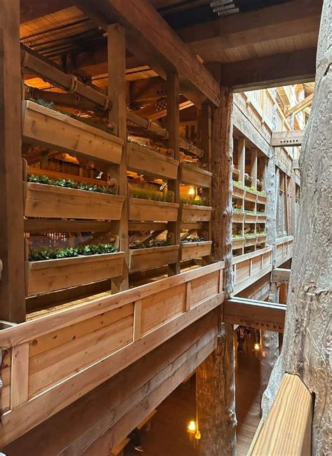 Complete Ark Encounter Review With Tips For Planning Your Ark