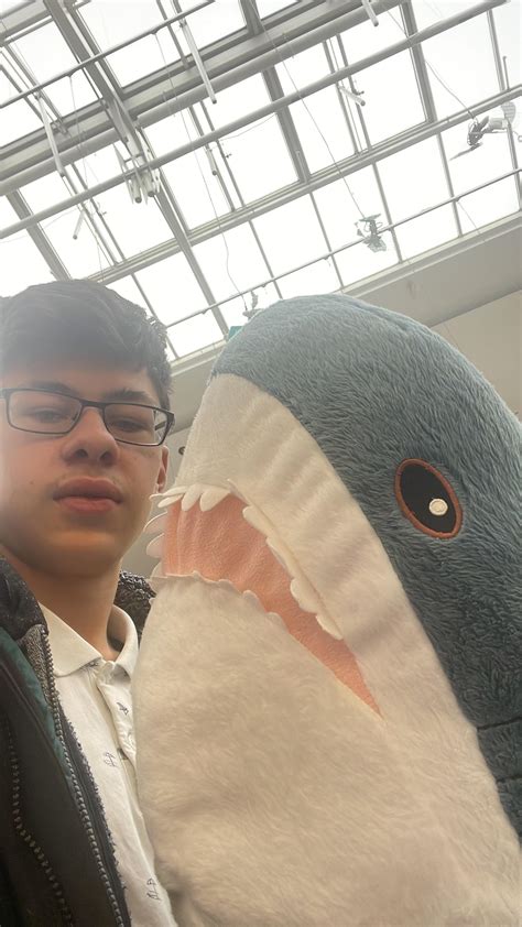 Blahaj acquired! I got the pre last one! : r/BLAHAJ