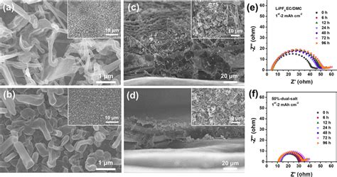 Surface And Cross Section Morphologies Of The Deposited Lithium In The