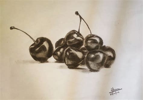 Realistic Cherry Drawing
