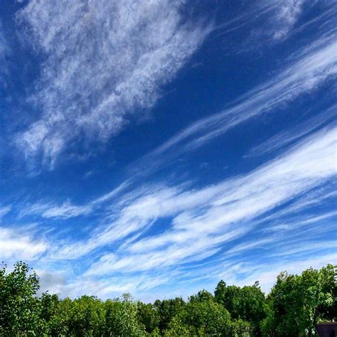 «Кому нужен ломтик июльского неба — создано в Шедевруме