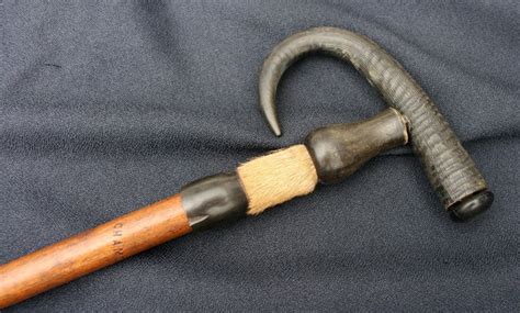 Walking Stick With Horn Handle And Ring France Approx Catawiki