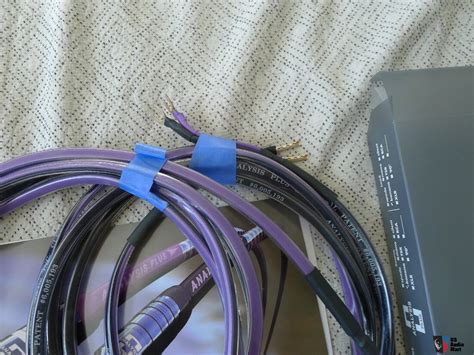 Analysis Plus Clear Oval 12ft Pair Cryo Treated