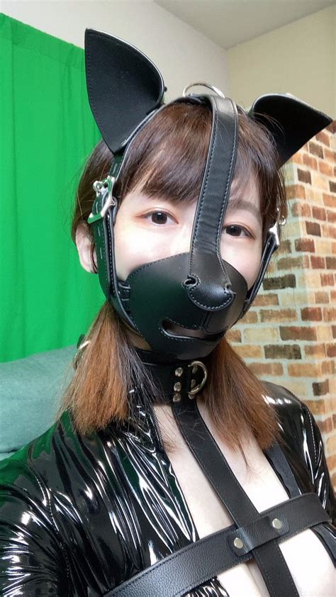 縄縄は社交ダンス On Twitter 耳がちょっと垂れてるほうがかわいいでしょう🐶
