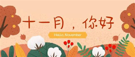 十一月你好 秋色已近晚微风抚黄花 秋海棠