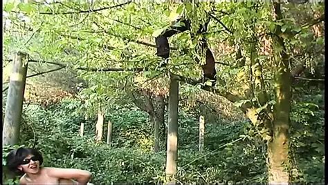 รายงานเรื่องเพศ ตอนที่ 2 Xhamster