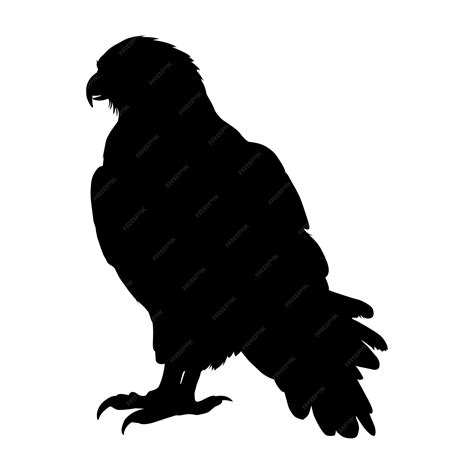 Silueta De Halcón Sobre Un Fondo Blanco Limpio Vector Premium