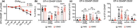 The 12MO Thymic Environment Does Not Support Efficient Negative