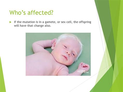 Mutations Notes Ppt Download