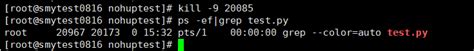 Linux系统，nohup和and的区别，前台和后台显示用户账号退出 Csdn博客