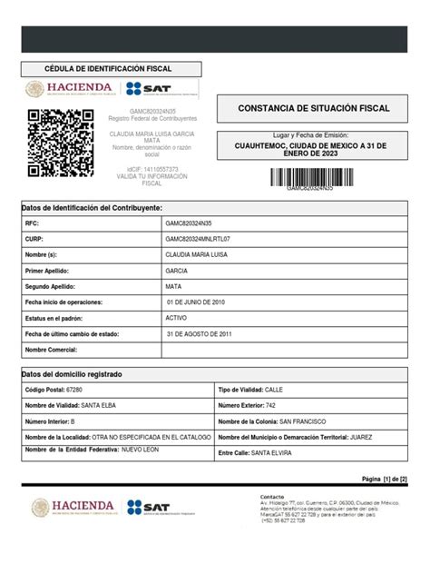 Rfc Actualizado 2025 Ejemplo Y Formato Pdf México Gobierno