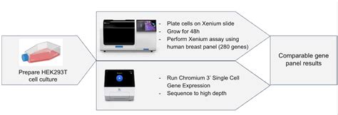 Can Cells Be Adhered To Xenium Slides To Obtain Gene Expression Data