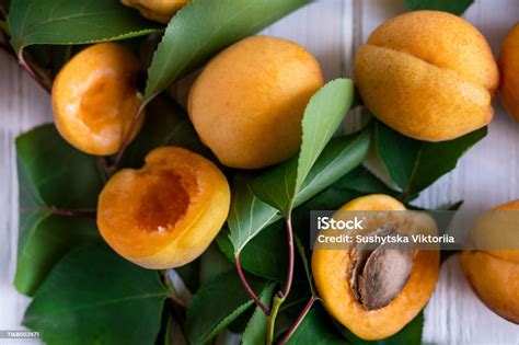 살구와 배경 녹색 잎과 흰색 나무 배경에 복사 공간을위한 장소와 신선한 살구의 사진 살구 클로즈업 농업 광고 다이어트 및 건강 영양 0명에 대한 스톡 사진 및 기타 이미지