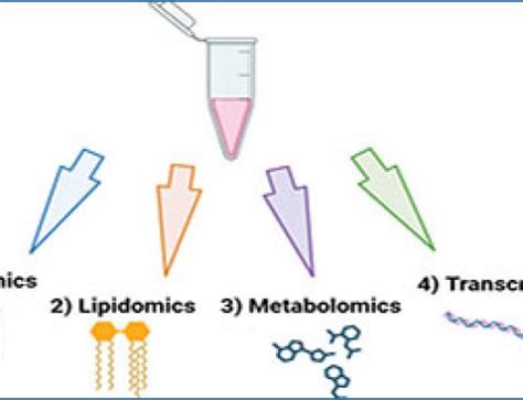 Full Length RNA Seq From Single Cells Using Smart Seq RNA Seq Blog