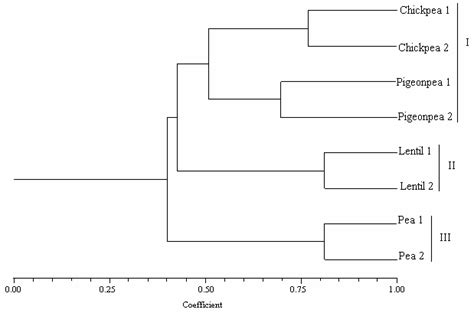 Upgma Based Dendrogram Of Rapd Profile Using Jaccards Similarity Download Scientific Diagram