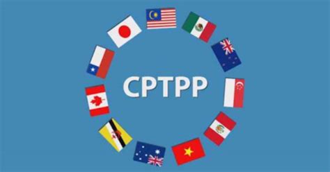 Malaysia Ratifies Cptpp Maycham China In Shanghai