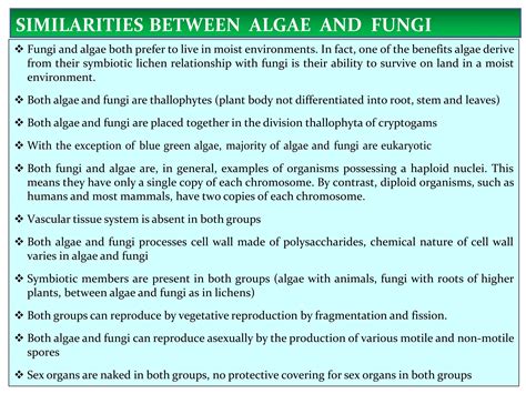 Classification Of Fungi Docx