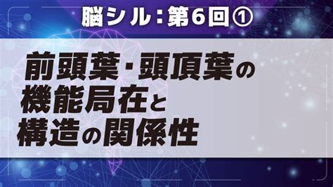 脳シル第6回大脳皮質の機能局在と構造の関係性 Part①前頭 配信動画一覧 リハノメ 株式会社gene コメディカル