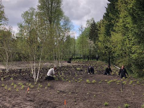 Maintenance Equi Gardens
