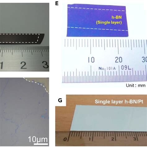 2d H Bn Growth On Polycrystalline Pt Using Ammonia Borane And Borazine