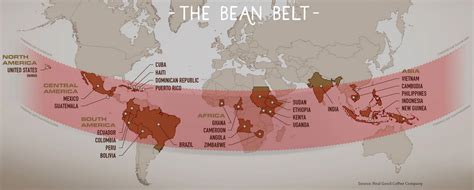 The Worlds Top Coffee Producing Countries SRI LANKA