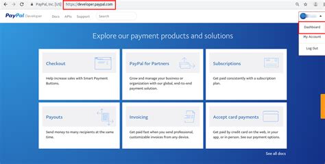 Odoo Website Paypal Express Checkout Payment Acquirer WebKul